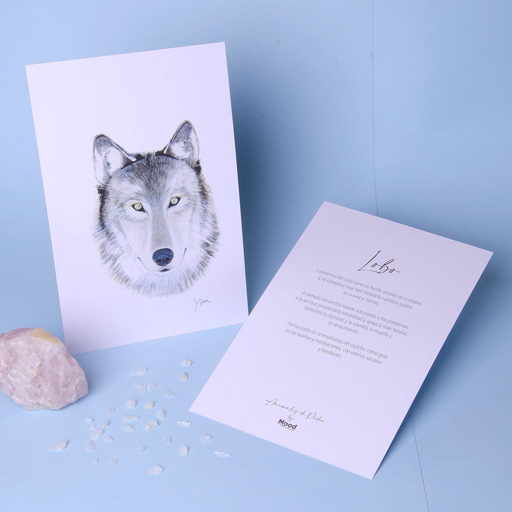 Pack Poder Nocturno – Mood Aromaterapia Chile